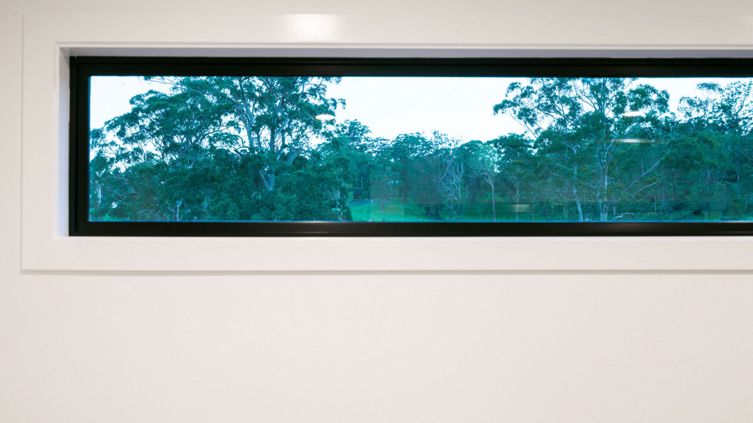 Aluminium Fixed Windows | Bradnam's Windows & Doors